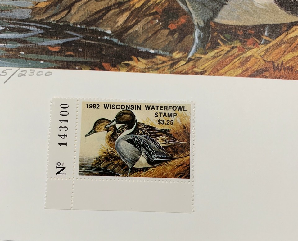 1982 WISCONSIN - State Duck Stamp Print **WILLIAM KOELPIN** with Stamp ...