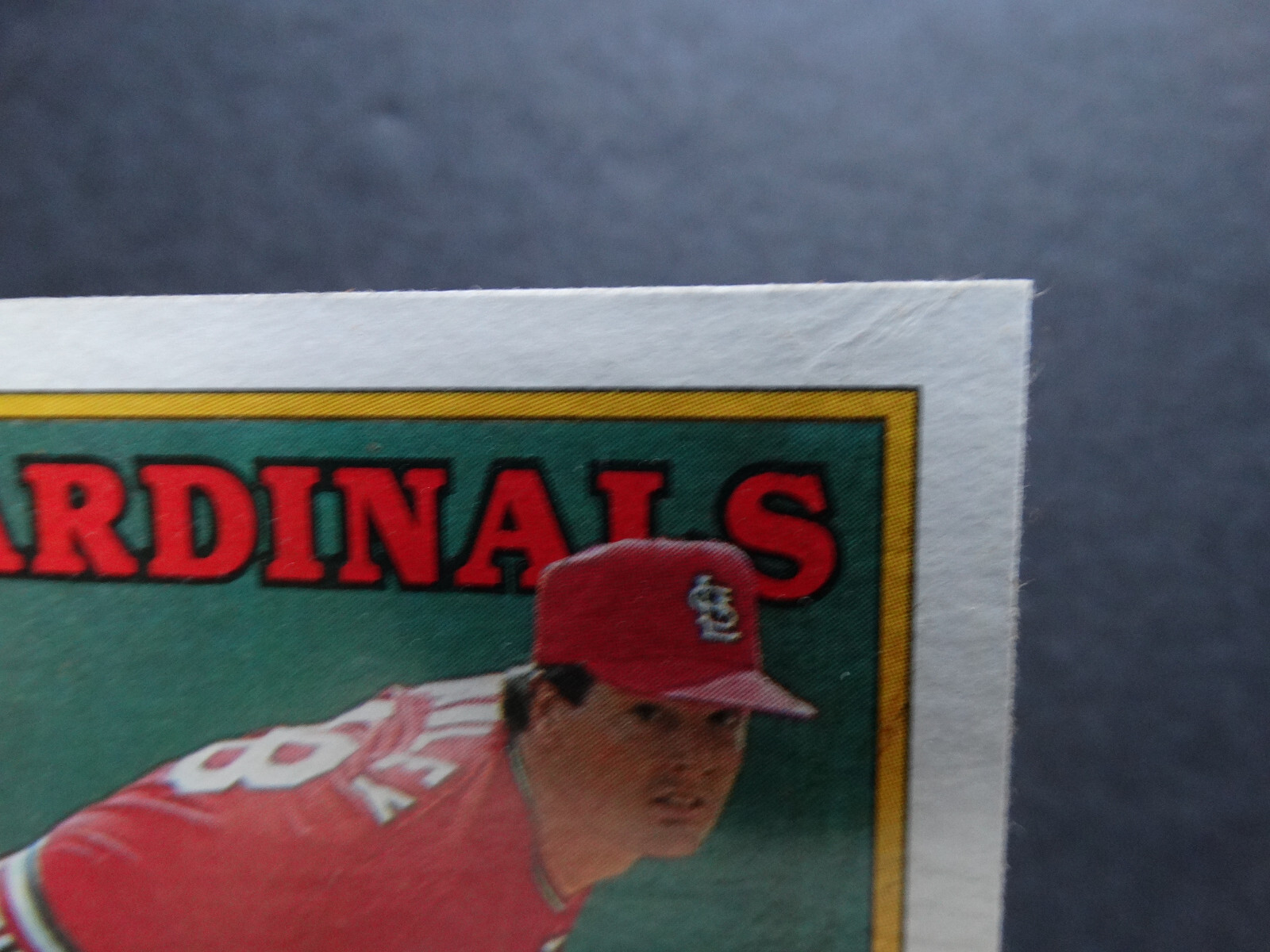 1988 Topps St. Louis Cardinals Team Set of 32 Baseball Cards | eBay