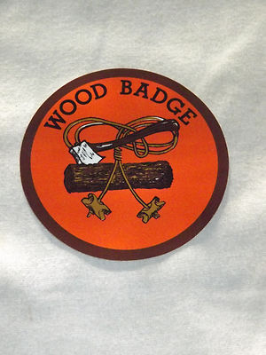 VINTAGE BSA BOY SCOUTS OF AMERICA WOOD BADGE DECAL | eBay
