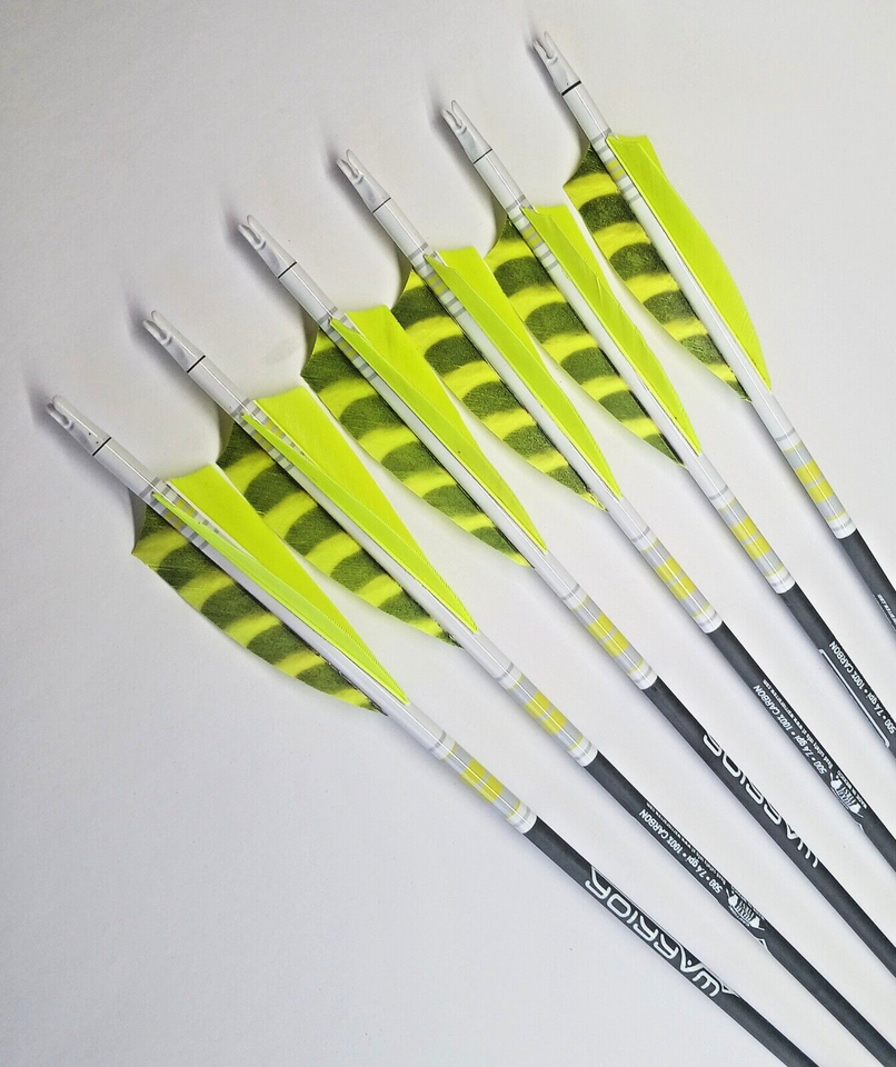 Goldtip warriors arrows for Traditional archery | eBay