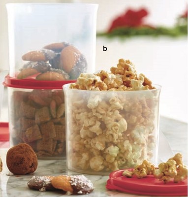 Tupperware Set of 4 Mini Canisters Holiday Red Seals $24 Brand NEW | eBay