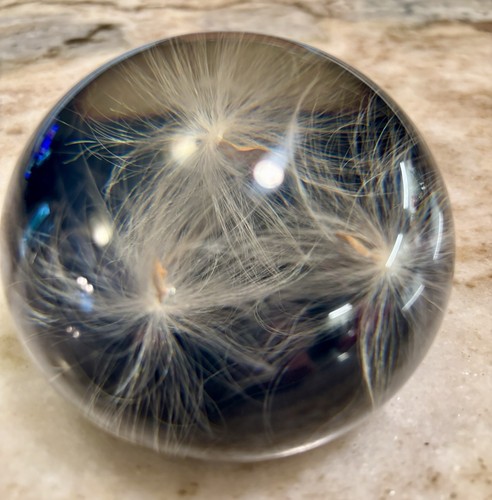 VTG Lucite Handcrafted Dandelion Paper Weight Retro 3" Canada Tarax ...