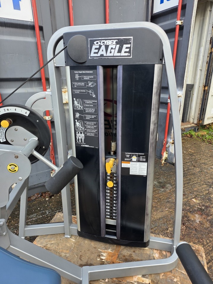 Cybex Eagle Lower Back Extension Machine Commercial Gym Equipment | eBay UK