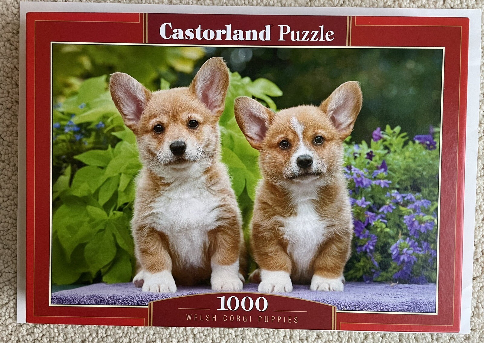 Castorland Welsh Corgi Puppies Puzzle 1000 Piece | eBay