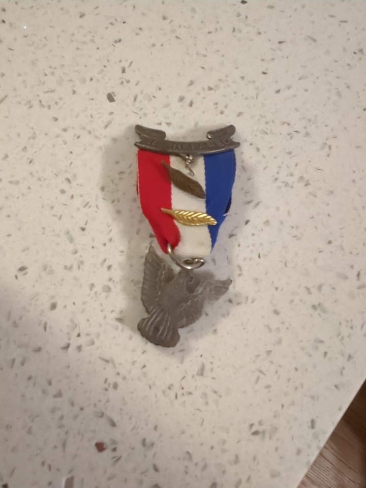 Vintage BSA EAGLE SCOUT Rank MEDAL 2 Palms Boy Scouts Award Badge Pin ...