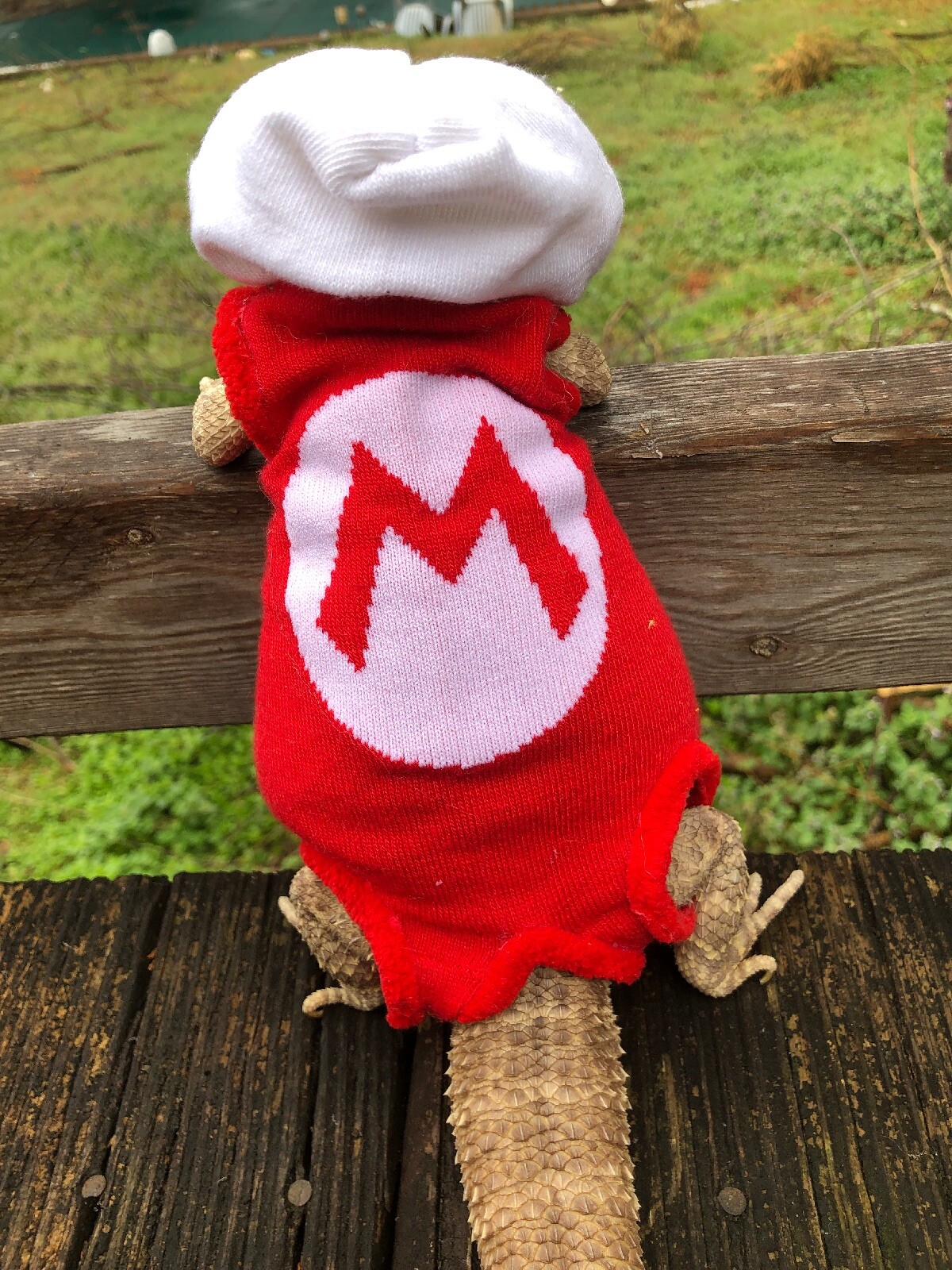 MARIO'SBROS PRINT (16) XLRG SLEEVELESS HOODED SHIRT 4 UNISEX BEARDED ...