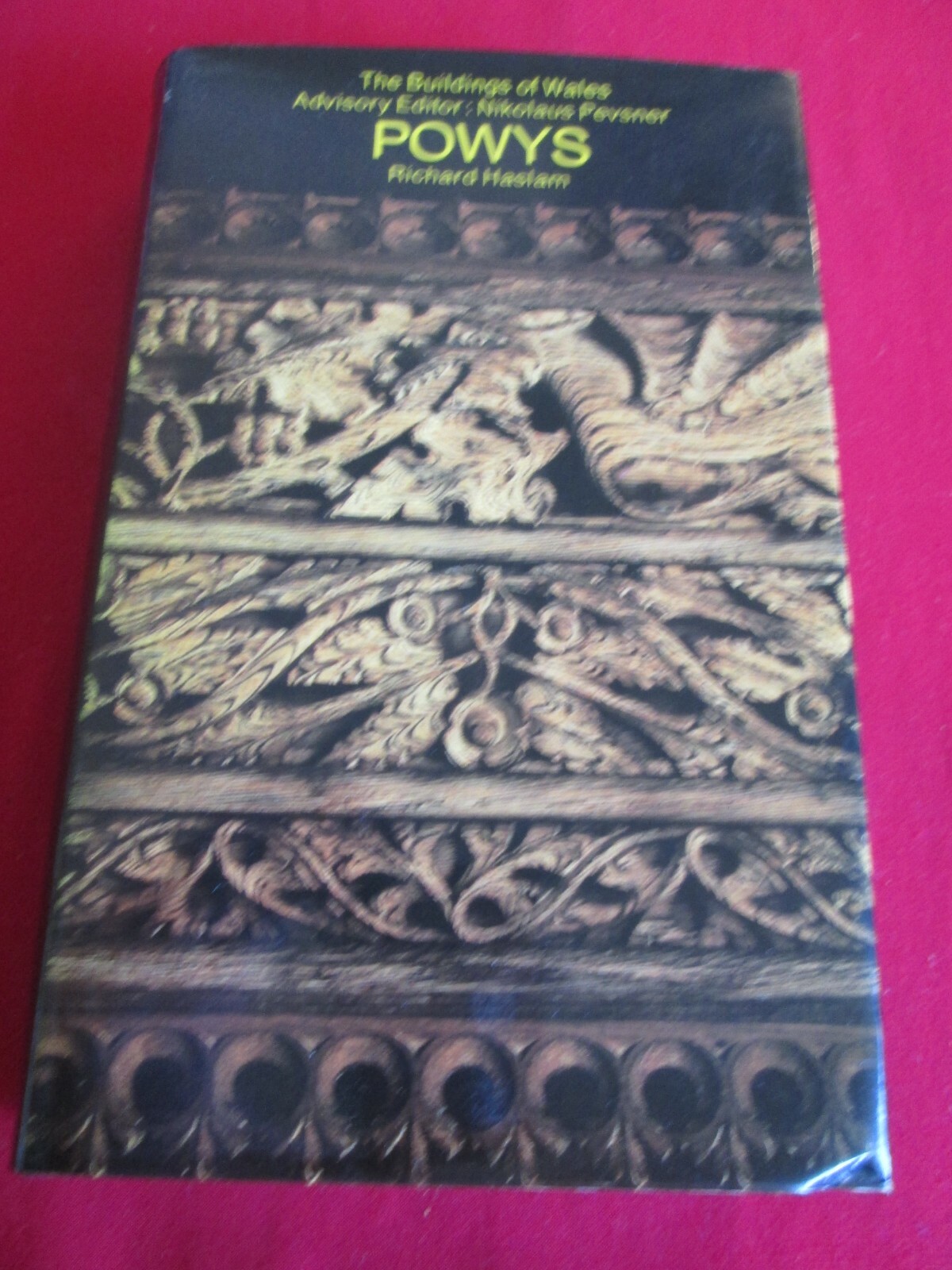 Powys: Montgomeryshire, Radnorshire, Breconshire by Richard Haslam ...