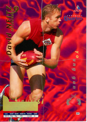 1995 Bewick AFL 4 Quarters Cards Series 2 Box Card Puzzle Card-David ...