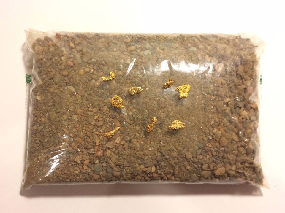 Premium LOADED Gold paydirt concentrates - Two Pounds! | Panning Flakes ...