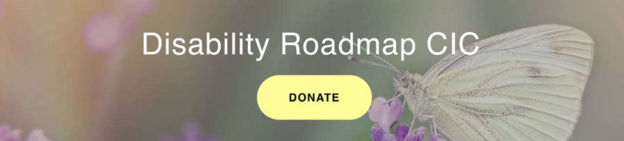 Disability Roadmap CIC | eBay Stores