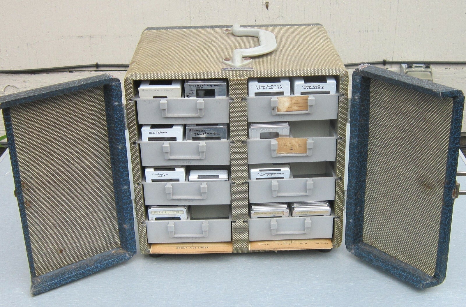 Lot of 383 Vintage 2" x 2" BOTANY SLIDES w/ Zephyr Case MICROSCOPE 50s ...