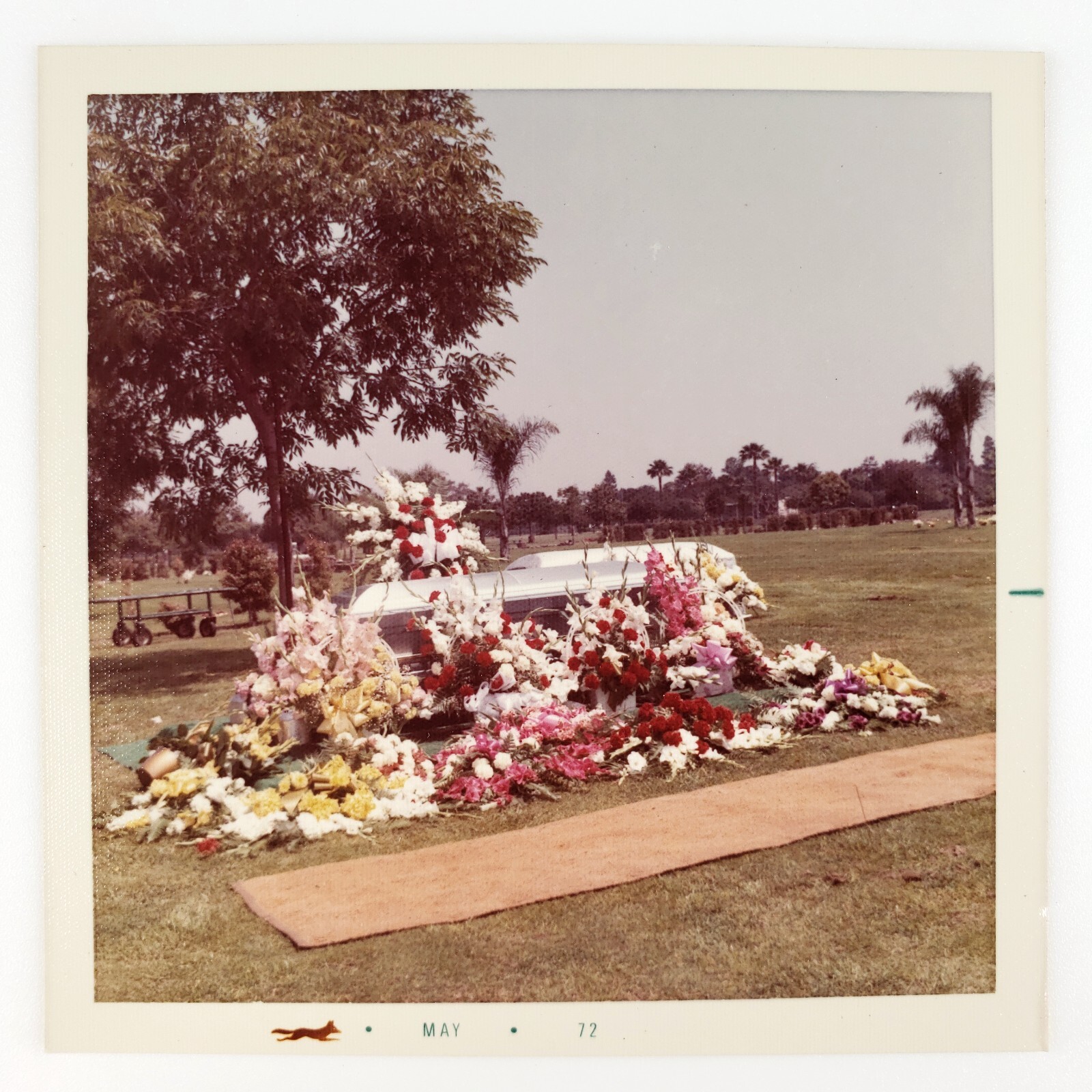 Funeral Flowers Cemetery Casket Photo 1970s Floral Post Mortem Wake ...