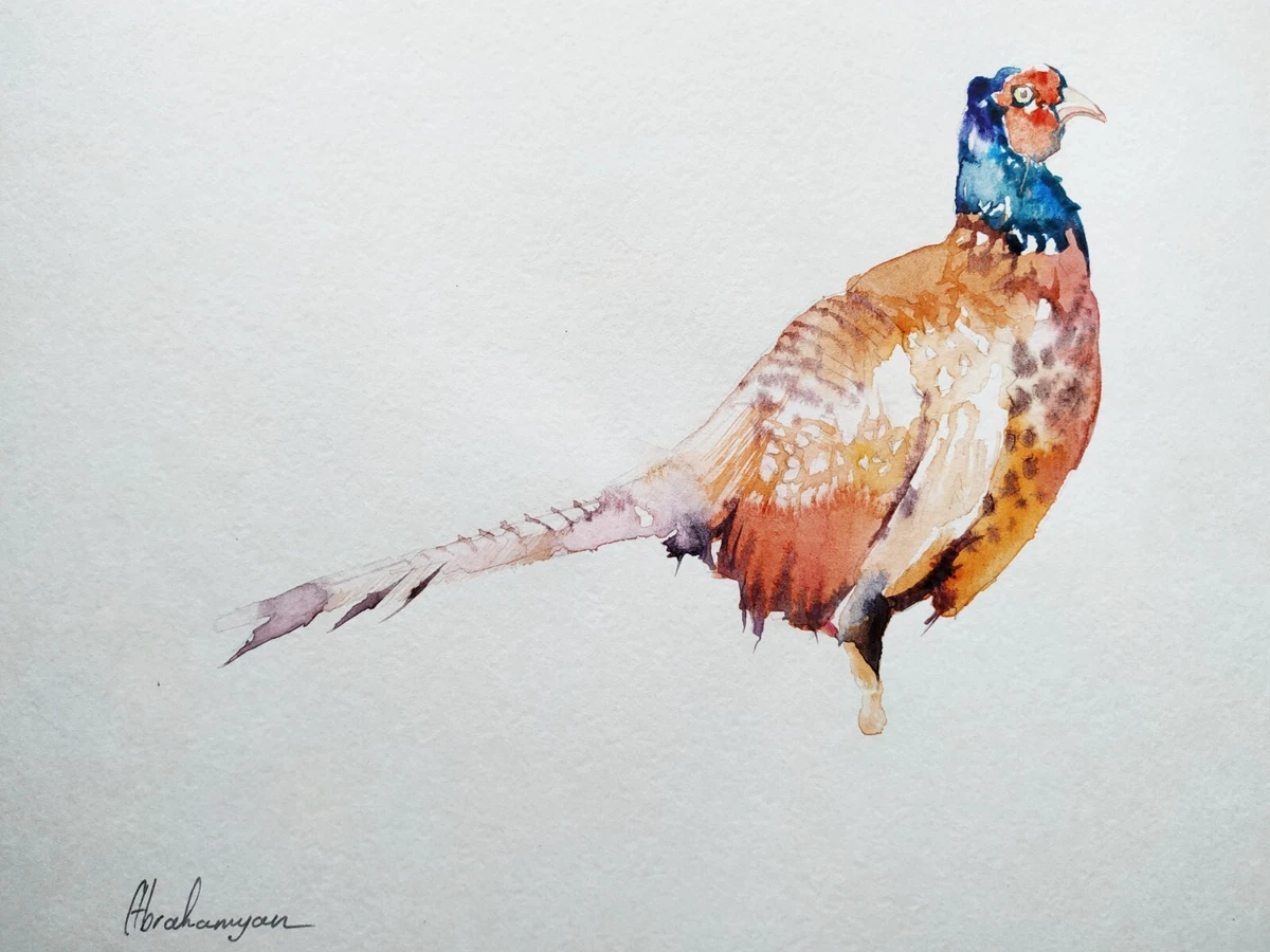 Pheasant Watercolor