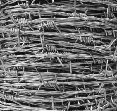 New 100m Security Fencing Galvanised Barbed Wire Livestock Paddock ...