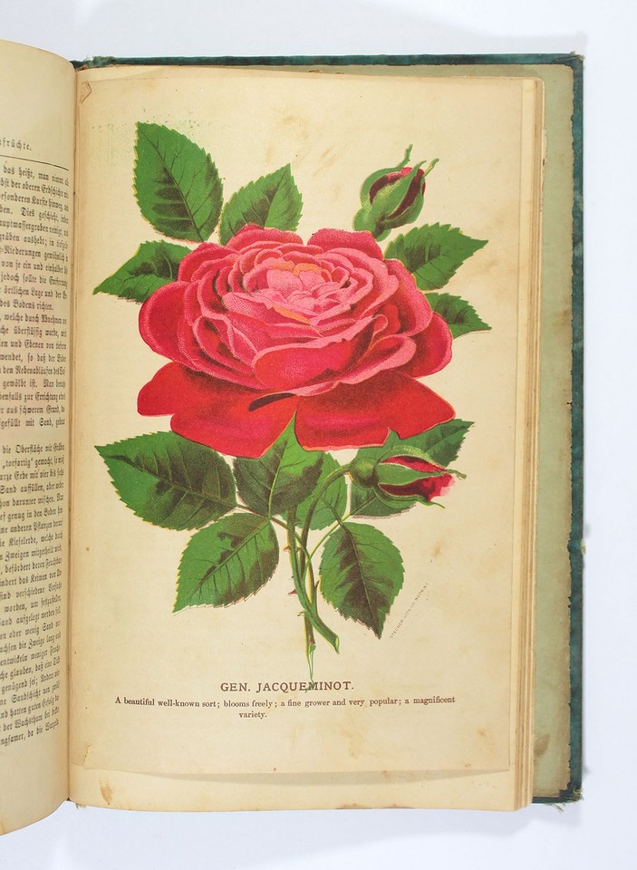 Antique 1892 St. Louis German FARMER ENCYCLOPEDIA Farming Garden Farmer ...