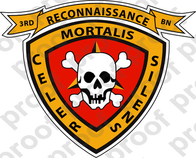 STICKER USMC UNIT 3RD RECONNAISSANCE BN | eBay