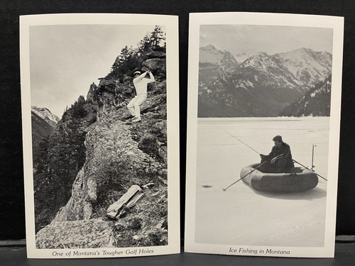 Vintage Paul Stanton Duckboy Cards Humorous Montana Postcards Lot of 17 ...