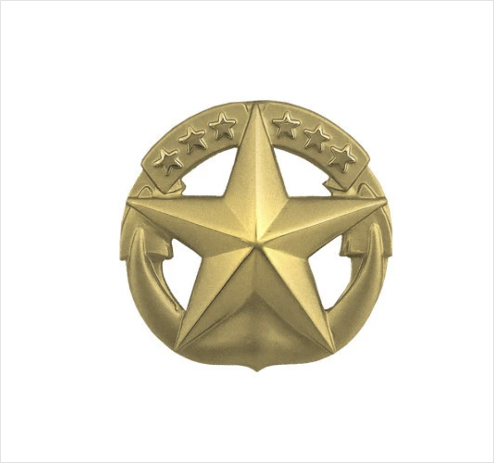 GENUINE U.S. NAVY BADGE: COMMAND AT SEA - MINIATURE, GOLD MATTE FINISH ...
