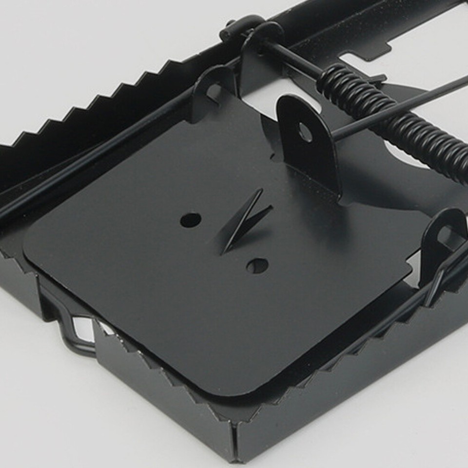 6PCS Large Rat Catching Metal Traps Heavy Duty Mouse Trap Bait Pest ...