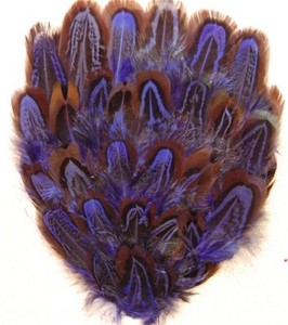 Feather Factory | eBay Stores