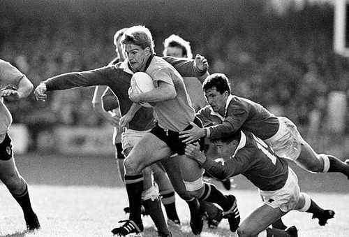 Australian Wallabies Rugby Union Great Tim Horan No 4 Old Photo | eBay