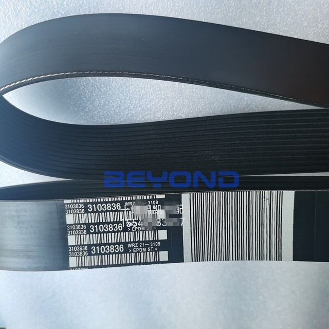 1 Pcs 3103836 Cummins Genuine Parts Fan Belt for sale online | eBay