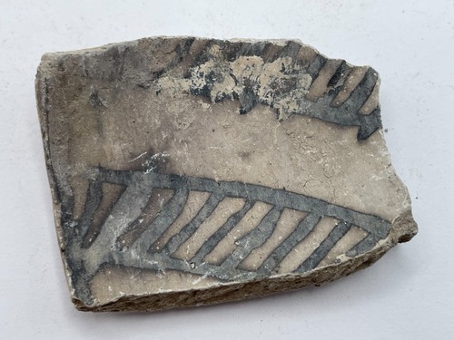 Ancient Mimbres Pottery Sherd Indian Artifact From Archeologist Estate ...