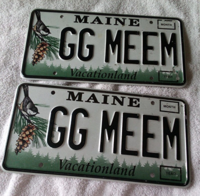 Pair of Vanity GG MEEM Maine Chickadee License Plates 2015 | eBay