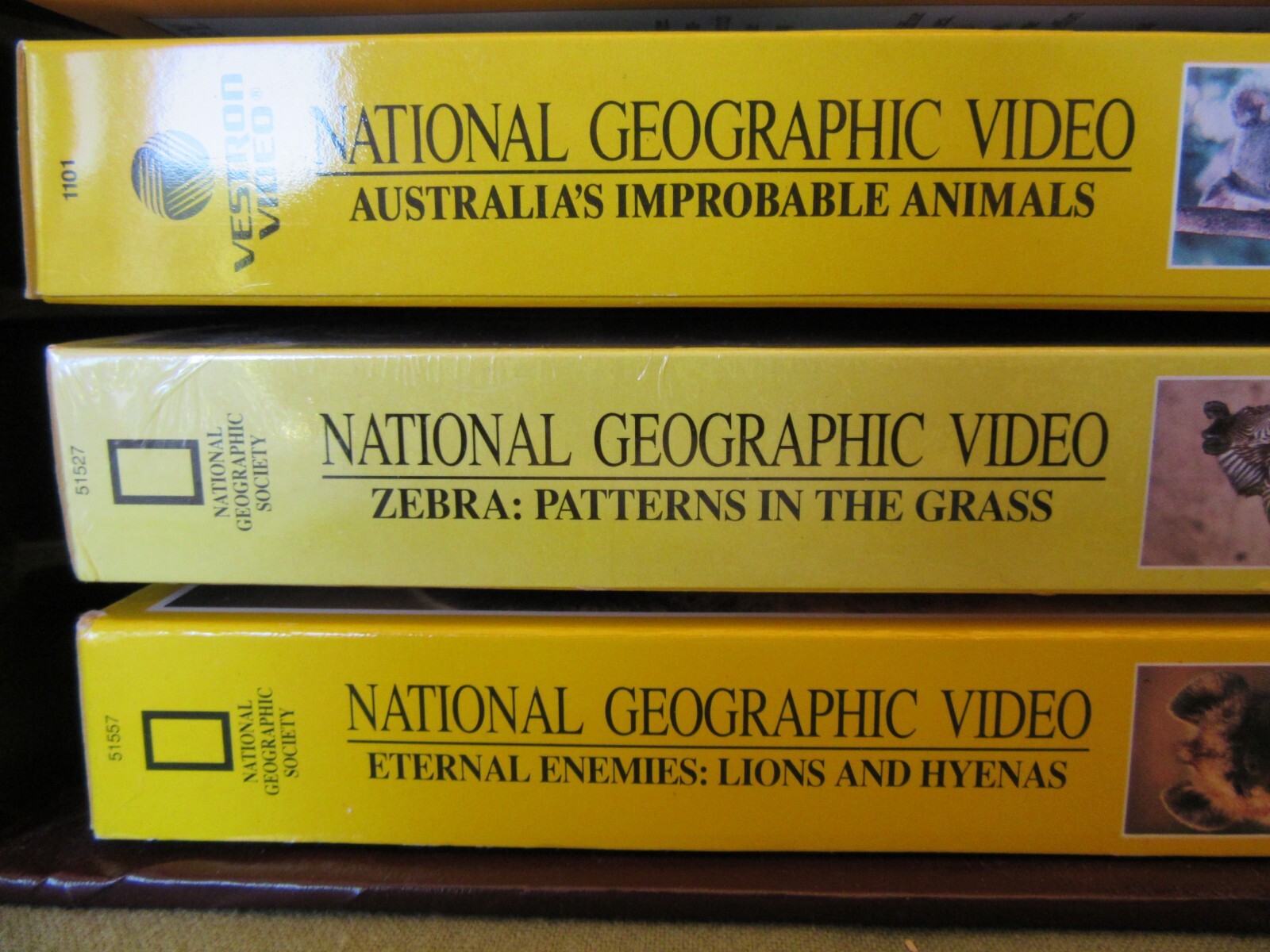 National Geographic Video VHS Tapes Lot of 8 in Case All Animals 2 new ...