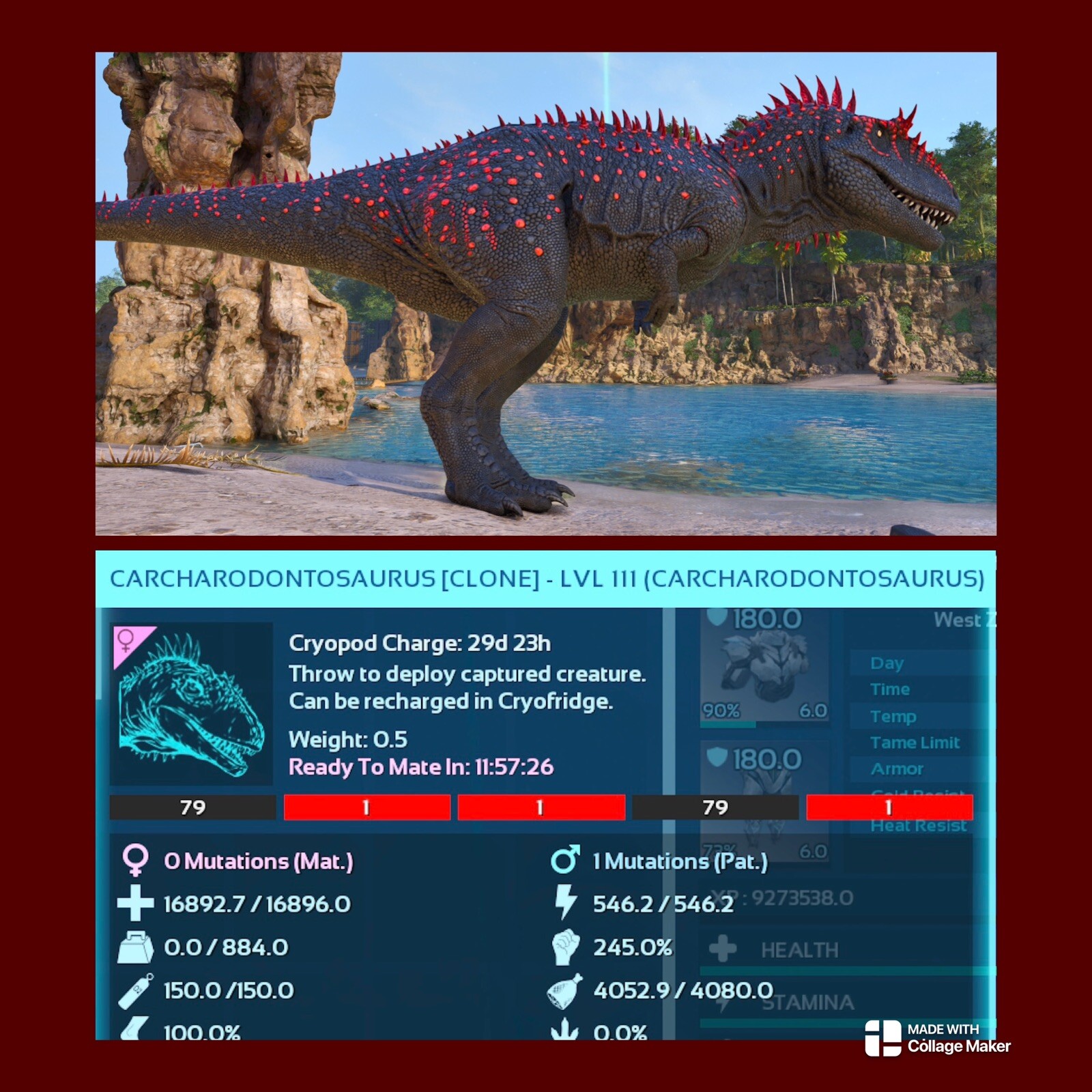 Ark Survival Ascended PVE OFFICIAL PVE DEADPOOL FEMALE CARCH (CLONE ...