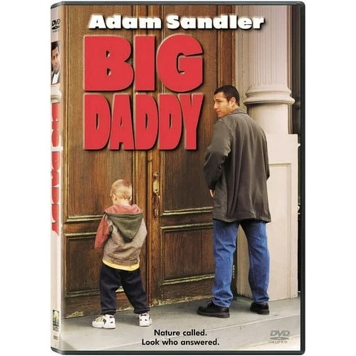 Big Daddy DVD **Widescreen DISC ONLY** Good | eBay