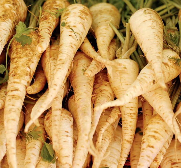Harris Early Model Parsnip Seeds |White Parsnips Root Vegetable Carrot ...