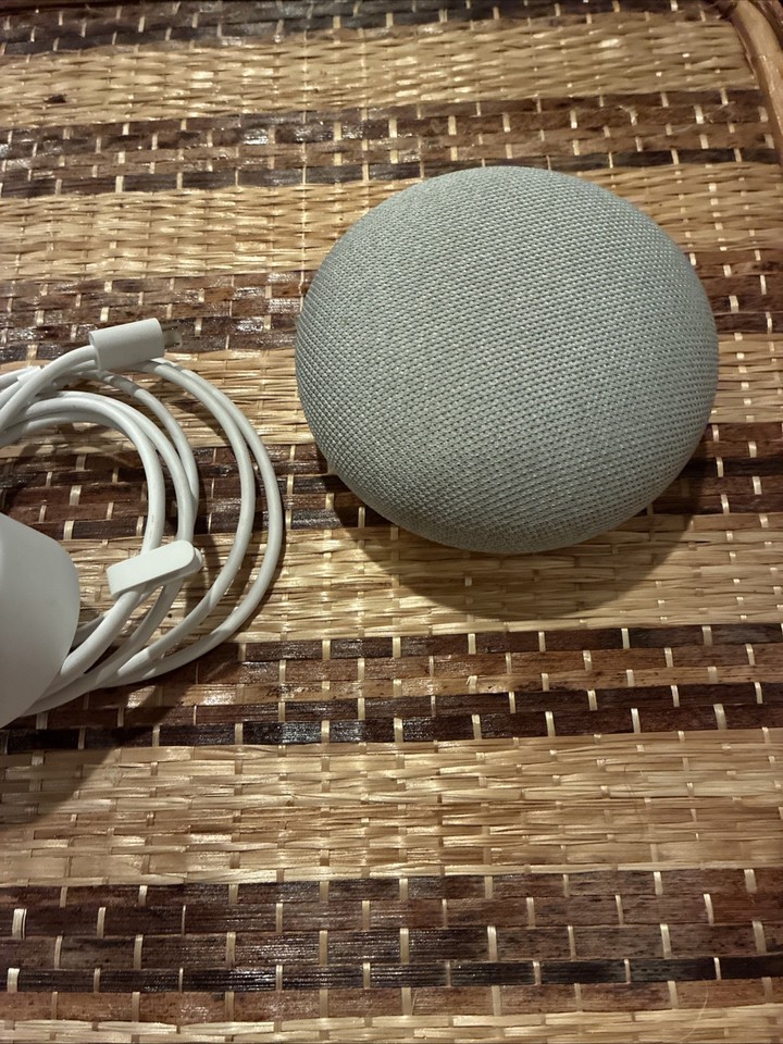 1st Generation Google Home Mini Coral Model HOA w/ Charging Cord Works ...