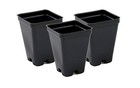 Square Pots 2.5" P64 - Greenhouse Growing Vegetables, Herbs, Flowers ...