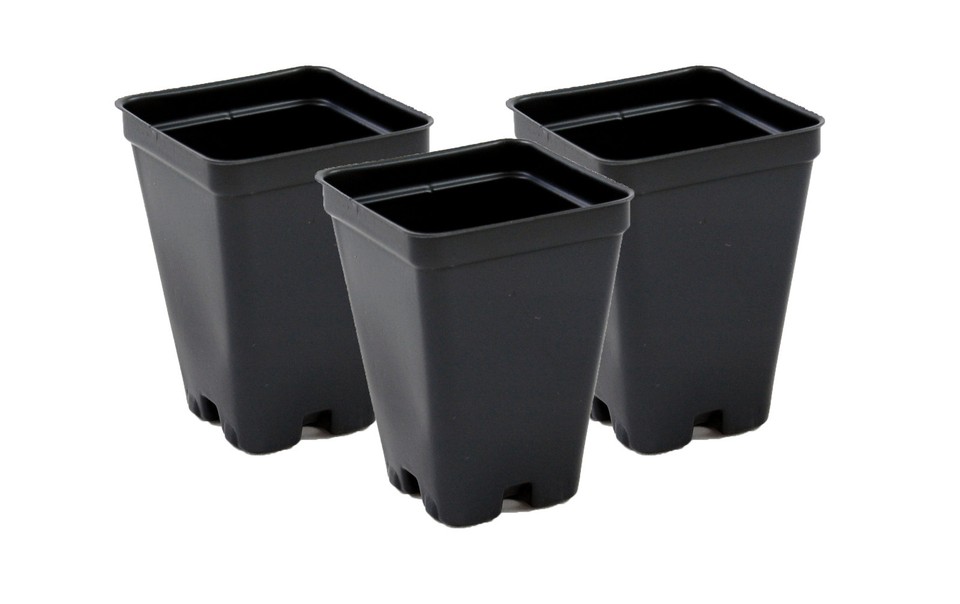 Square Pots 2.5" P64 - Greenhouse Growing Vegetables, Herbs, Flowers ...