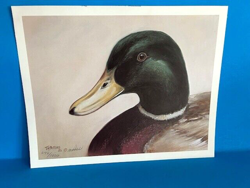 TIM PAFFORD "Mallard Duck" Limited Edition (672/1000) Signed 1986 9.5 X ...