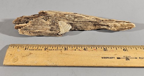 CIVIL WAR RELIC, BULLET FOUND EMBEDDED IN WOOD, SPOTSYLVANIA VA. #6 | eBay