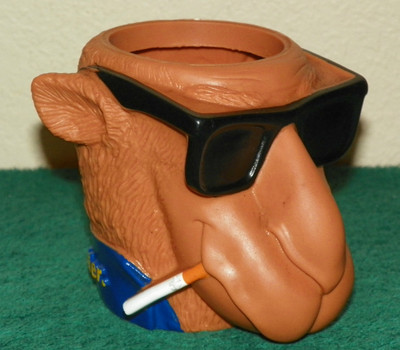 CAMEL JOE - CAMEL CAN COOLER / CAN HUGGIE | eBay UK