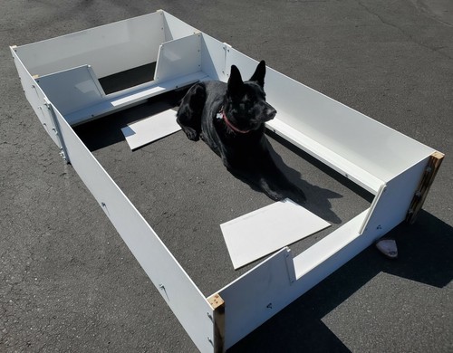 Medium Whelping Box w/safety pig rails, liner & potty area 42x56 FREE S ...