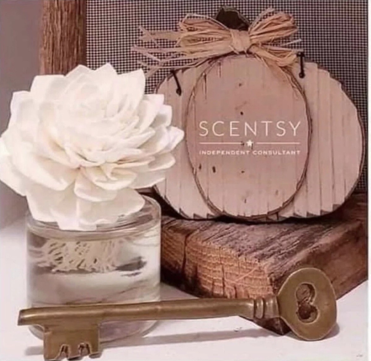 Scentsy Fragrance Logo