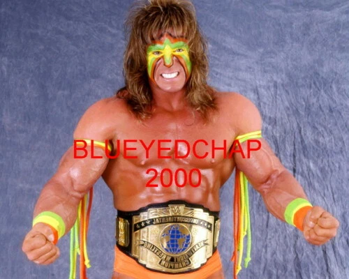 Ultimate Warrior Sting Wcw