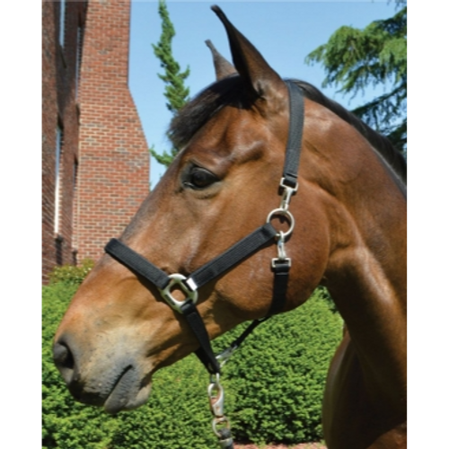 Lami-Cell 2-in-1 Grooming Halter | eBay