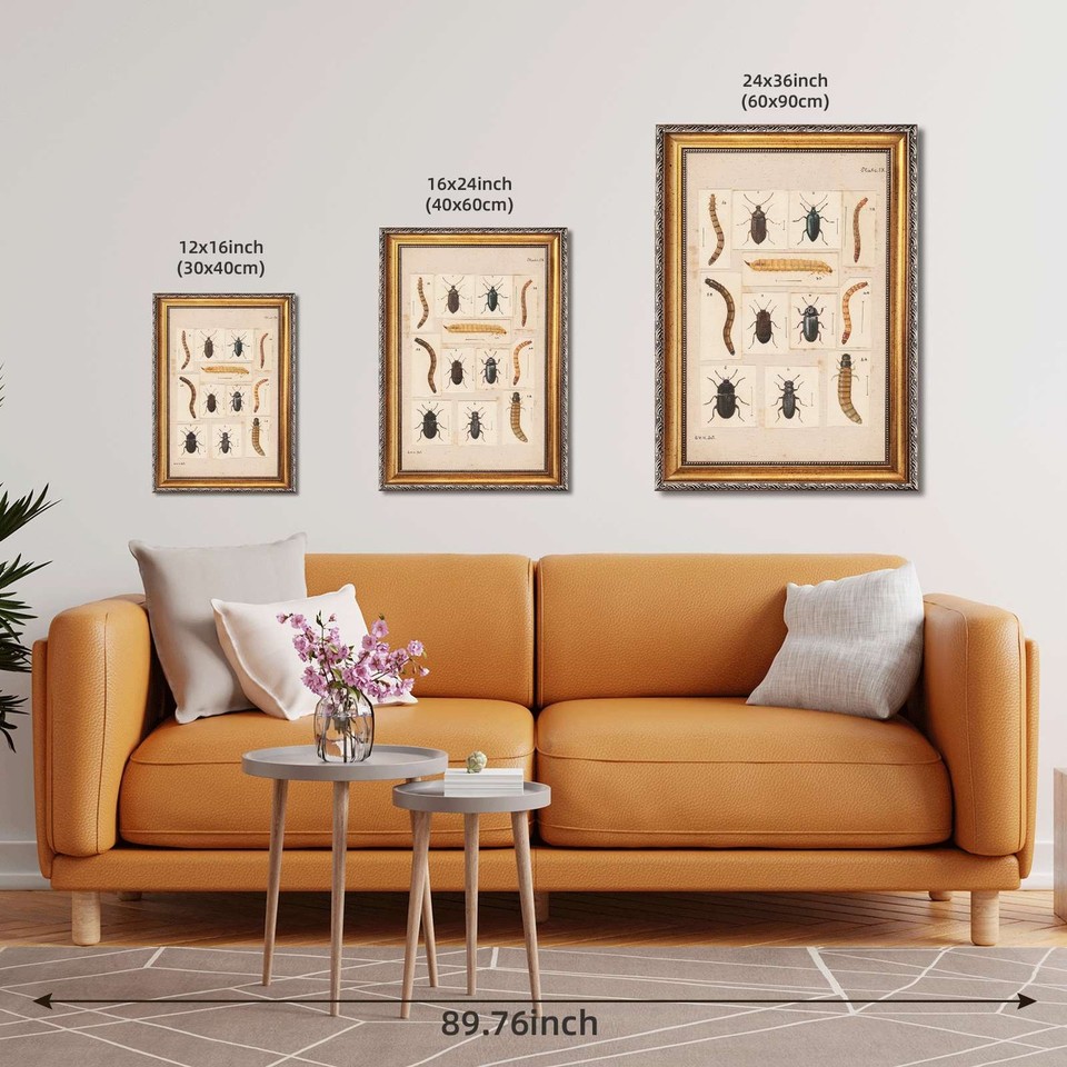 Insect Larvae and Beetles Wall Art Canvas Oil Paintings Reproduction | eBay