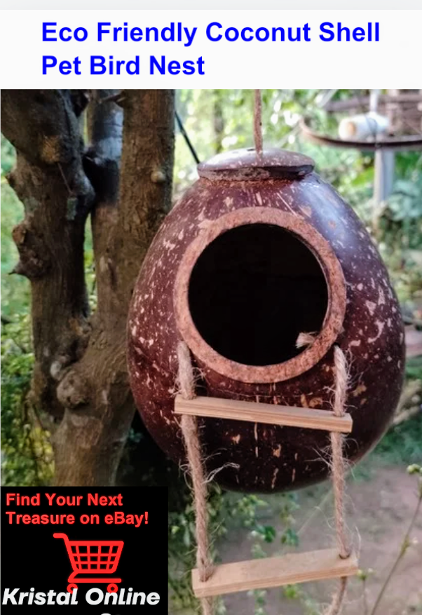 Handmade Natural Coconut Shell Bird Nest Eco-Friendly Home Decor Pet ...