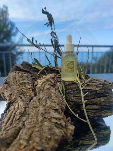 Olive leaf elixir tincture supplement Food Health for ingestion Natural ...