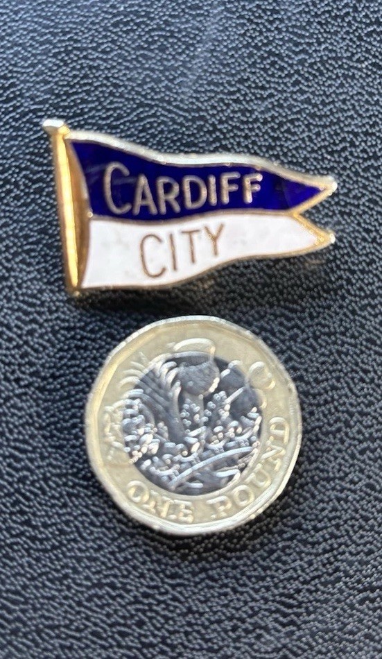 Cardiff City FC Enamel Pin Badge Flag Design | eBay UK