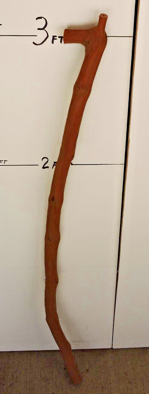 36" Grapevine Wood Stick 1 1/4"D Driftwood Knob Top Walking Staff ...