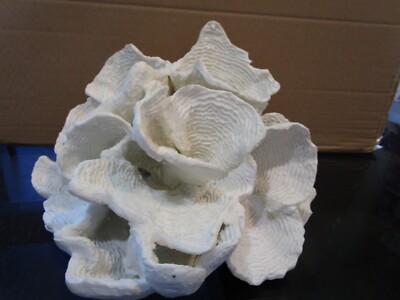Pottery Barn shell photo shoot sample | eBay
