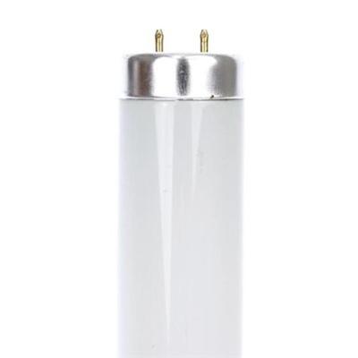 F17T8 FLOURESCENT 2' ft. (24") T8 BULBS - 17 Watt T8 Lamp 80+CRI ...