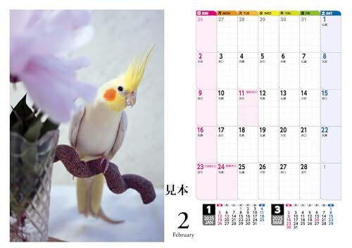 2025 Calendar Cockatiel Bird Photo B6 size A 3-way use Brand New | eBay